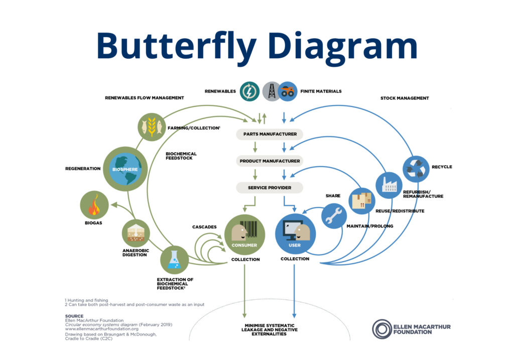 Butterfly Diagram - Circulearning