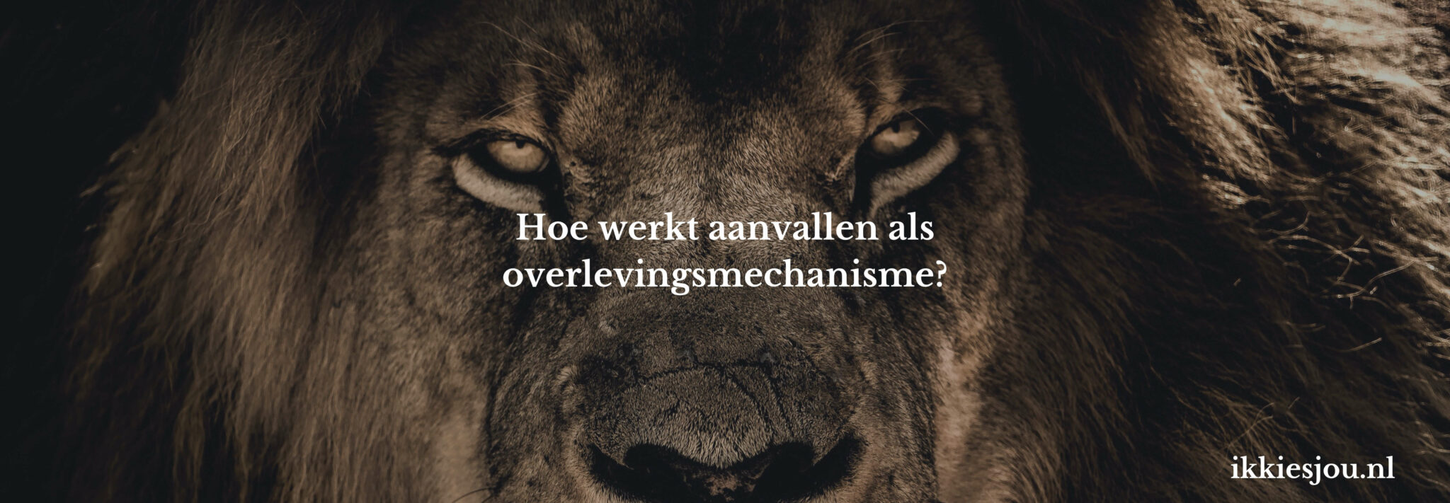 Aantrekken en afstoten: waarom gebeurt dit in je relatie?